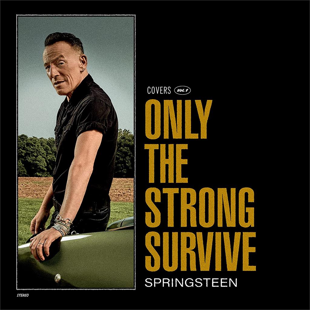 Bruce Springsteen Only The Strong Survive (CD) - bigdipper